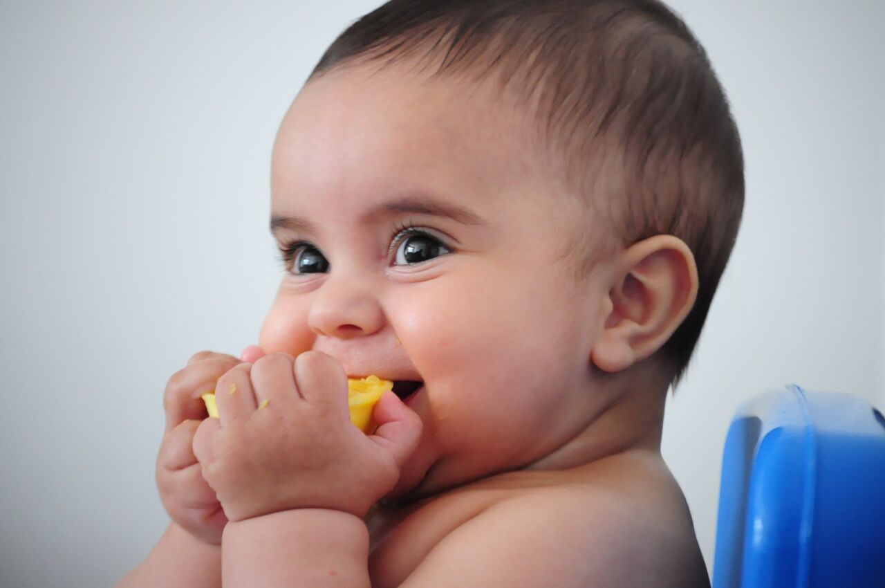 Starting Solid Foods: with Baby-led Weaning Tips - The Breastfeeding ...